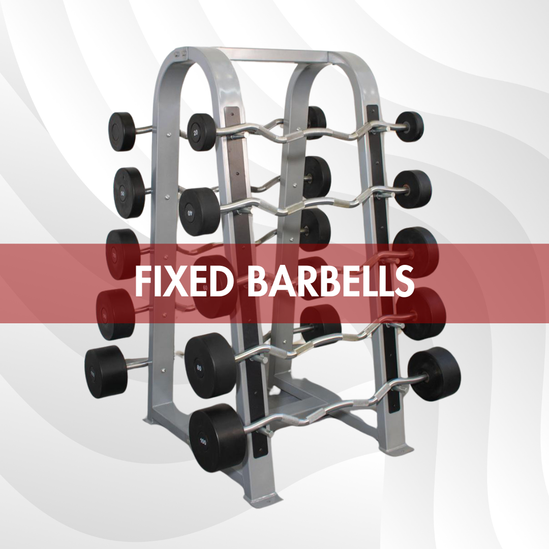 Fixed Barbells – Muscle D Fitness