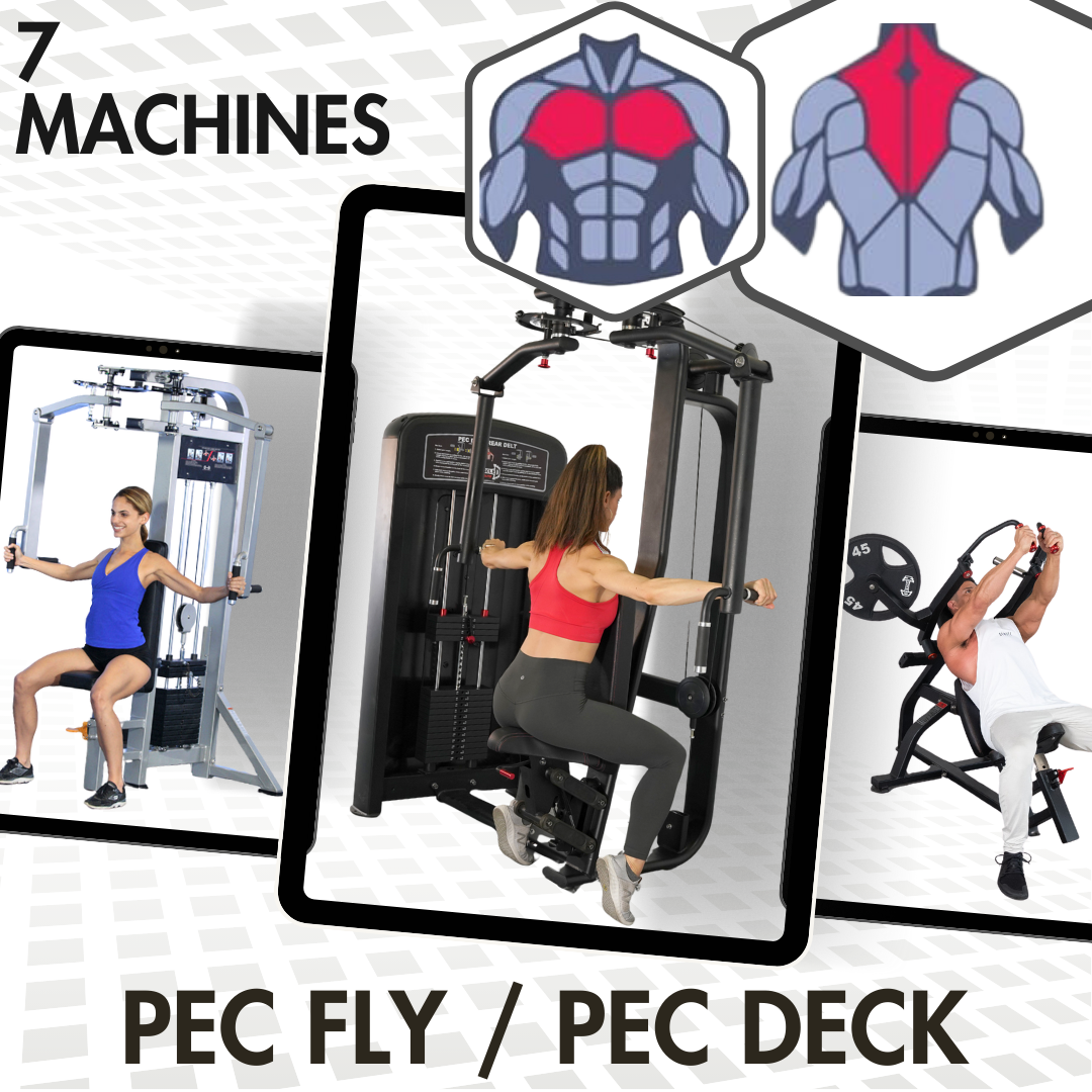 Pec Fly / Pec Deck / Rear Delt – Muscle D Fitness