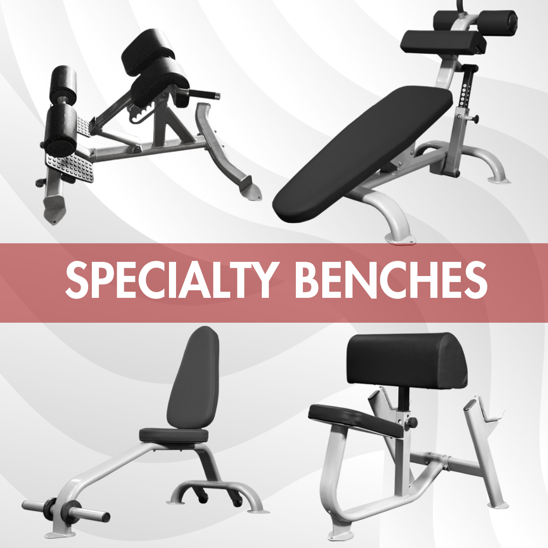 Specialty Benches – Muscle D Fitness
