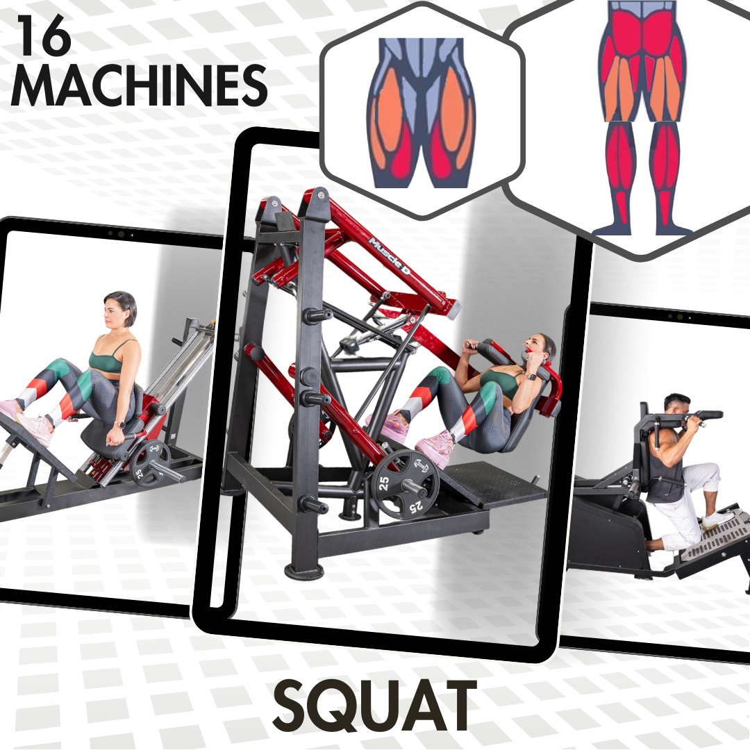 Squat Machines – Muscle D Fitness