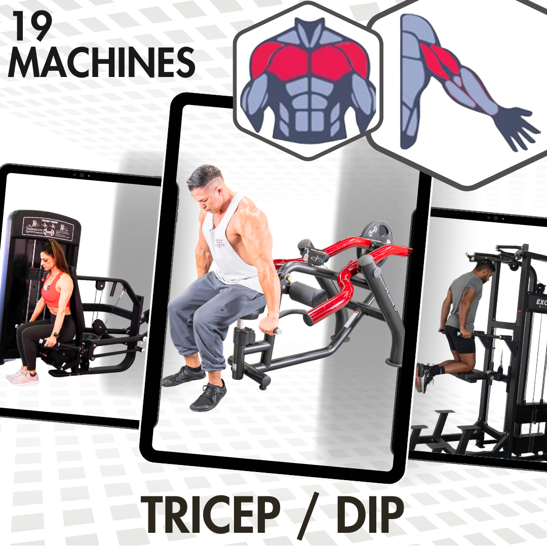 Tricep / Dip Machines – Muscle D Fitness