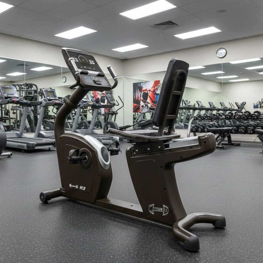 Commercial Recumbent Bike - LED Screen - Muscle D Fitness - Cardio - S