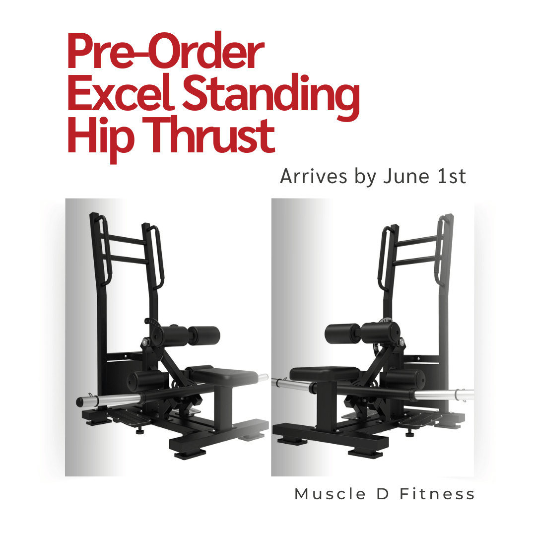 Excel Standing Hip Thrust – Muscle D Fitness